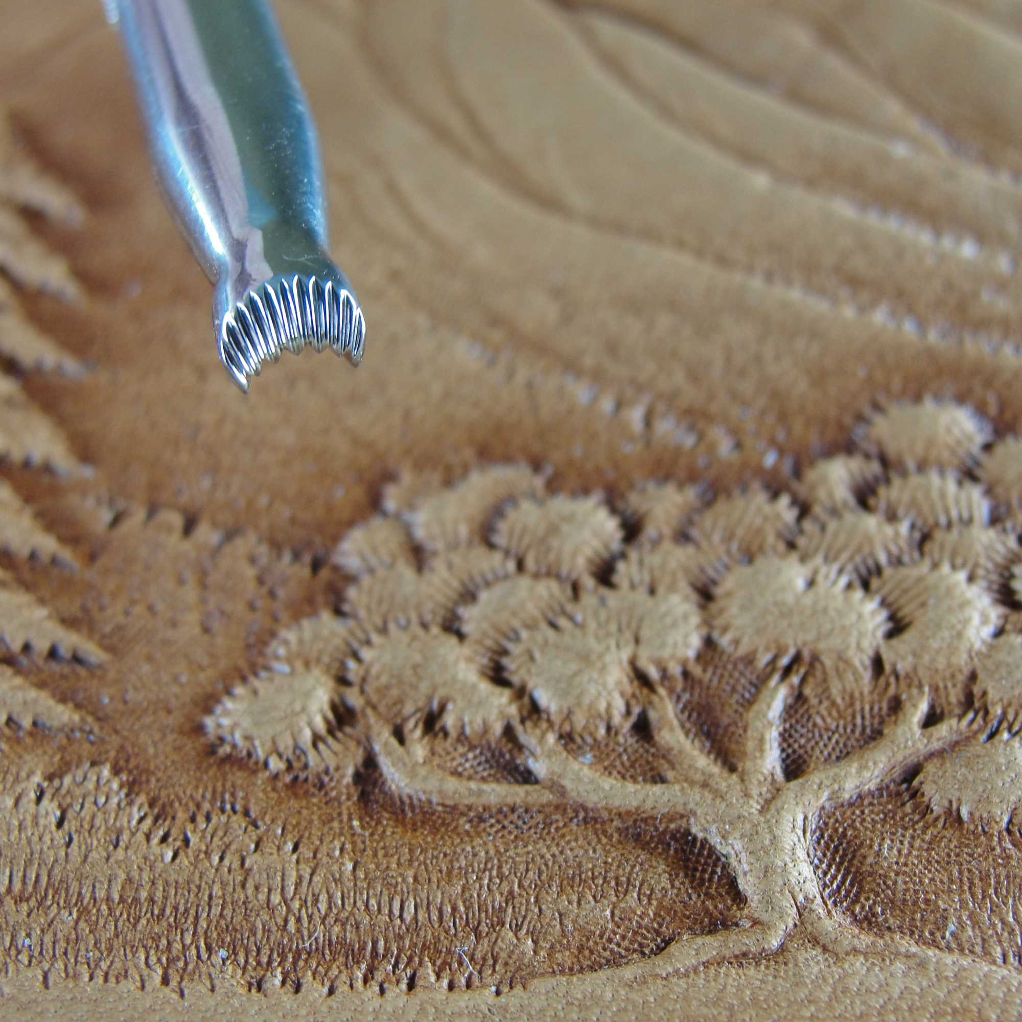Grasses Bushes Pictorial Leather Stamp Barry King | Pro Leather Carvers